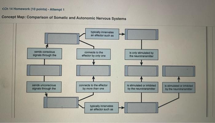 Solved autonomic nervous system NE somatic nervous system | Chegg.com