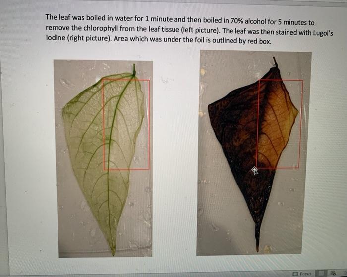 Solved Please answer questions 3 and 4 on the 3rd picture | Chegg.com