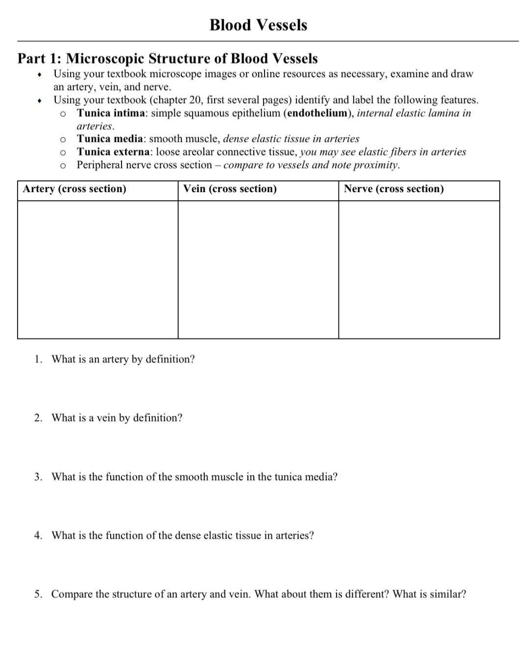 Solved Blood Vessels Part 1: Microscopic Structure of Blood | Chegg.com