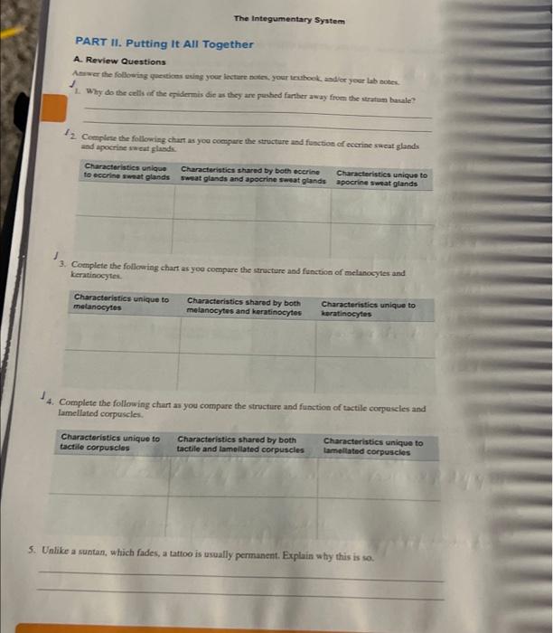 Solved 14. PART II. Putting It All Together A. Review | Chegg.com