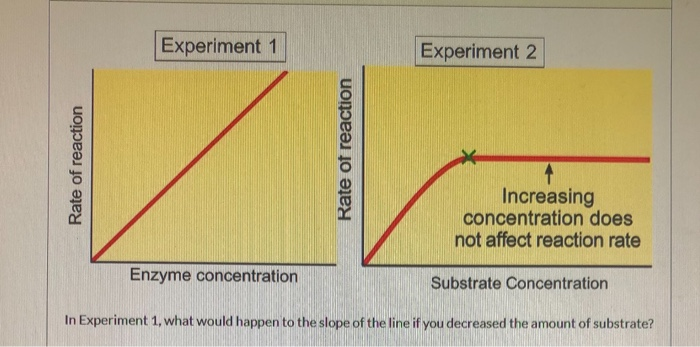 Solved Experiment 1 Experiment 2 Rate of reaction Rate of | Chegg.com