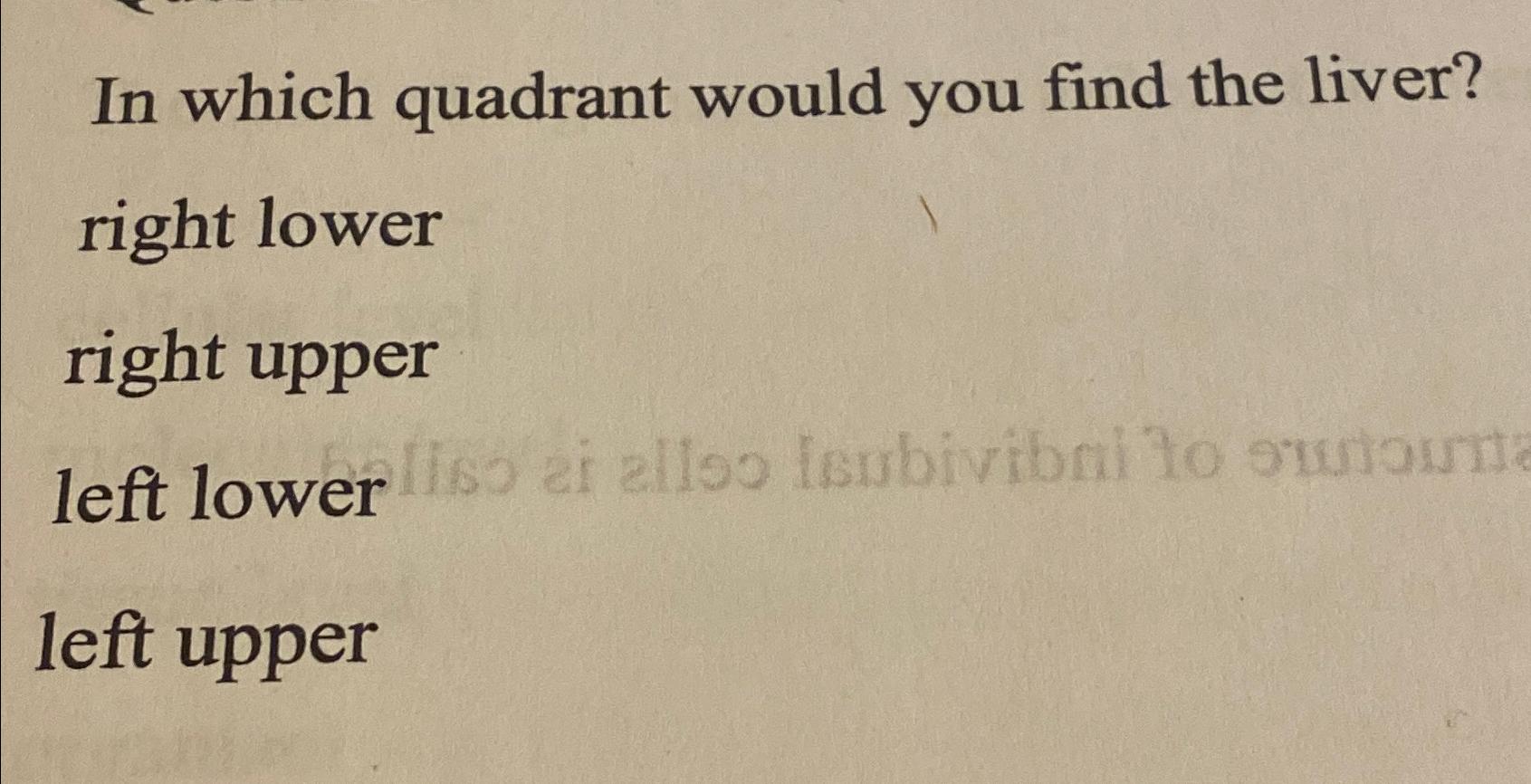 Solved In which quadrant would you find the liver? right | Chegg.com