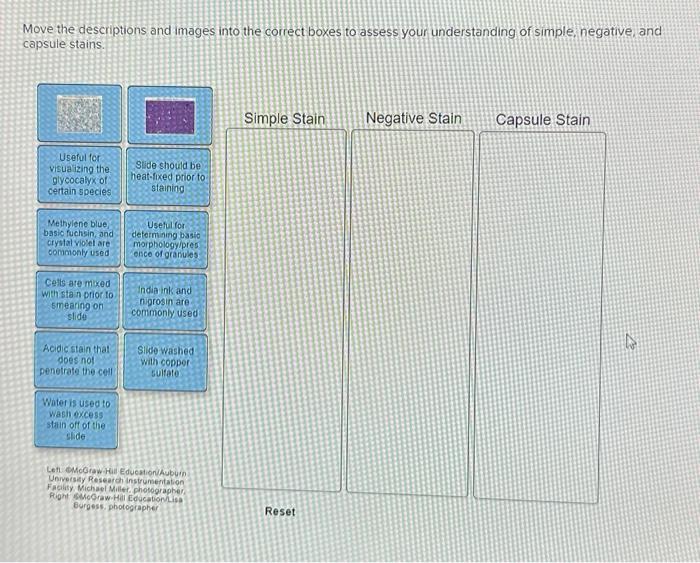Solved Move the descriptions and images into the correct | Chegg.com