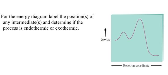 Solved For the energy diagram label the position(s) of any | Chegg.com