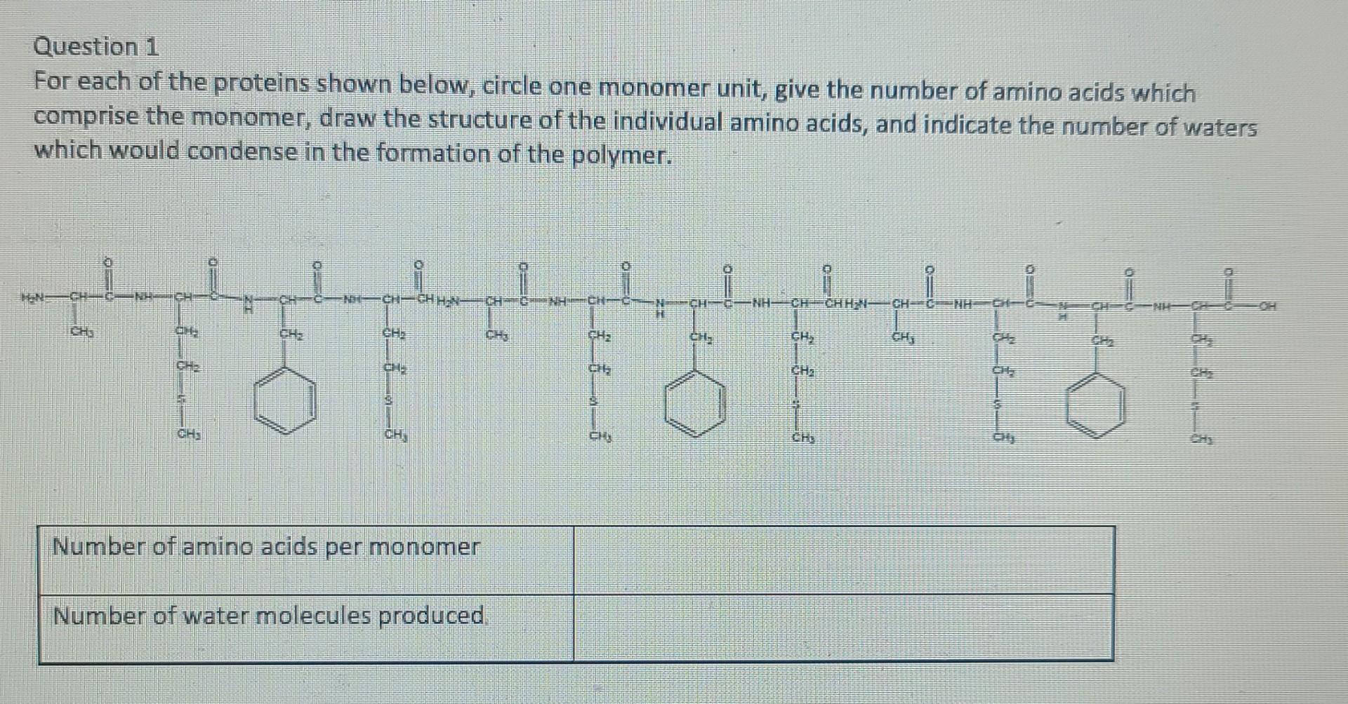 Solved Question 2 Draw a structure for the protein composed | Chegg.com
