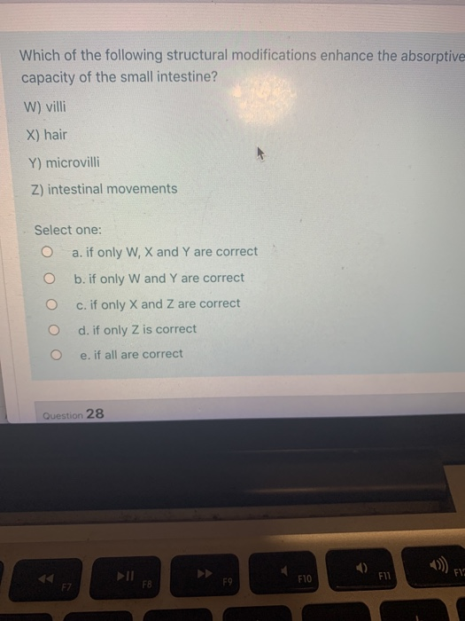 Solved Which of the following structural modifications | Chegg.com