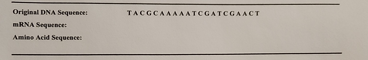 Solved Original DNA Sequence:T ACGCAAAAATCGATCGAACTmRNA | Chegg.com