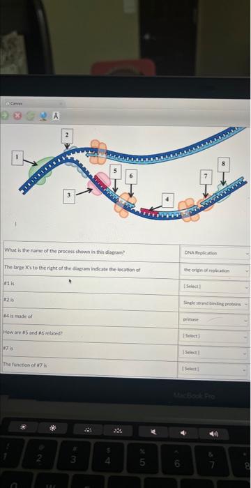 Solved 980 A | Chegg.com