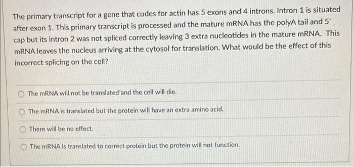 Solved The primary transcript for a gene that codes for | Chegg.com
