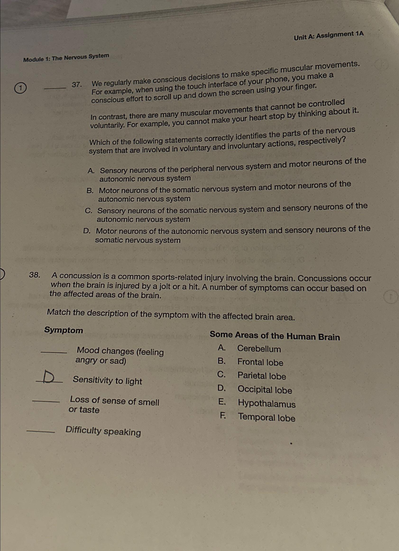 Solved Unit A: Assignment 1 ﻿AModule 1: The Nervous | Chegg.com