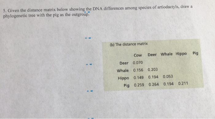 Solved 5. Given the distance matrix below showing the DNA | Chegg.com