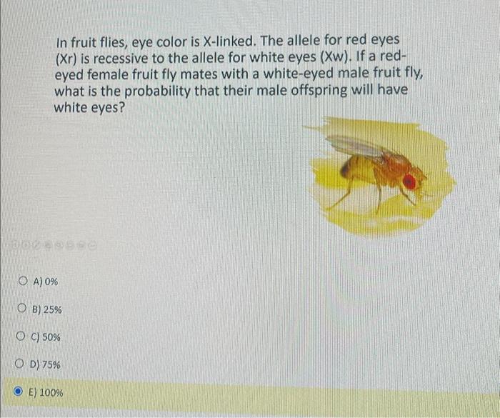 Solved In fruit flies, eye color is X-linked. The allele for | Chegg.com