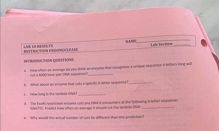 Solved Introduction Questions A How Often On Average Do You