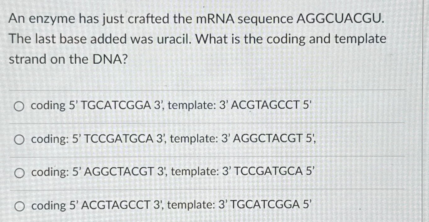 Solved An enzyme has just crafted the mRNA sequence | Chegg.com