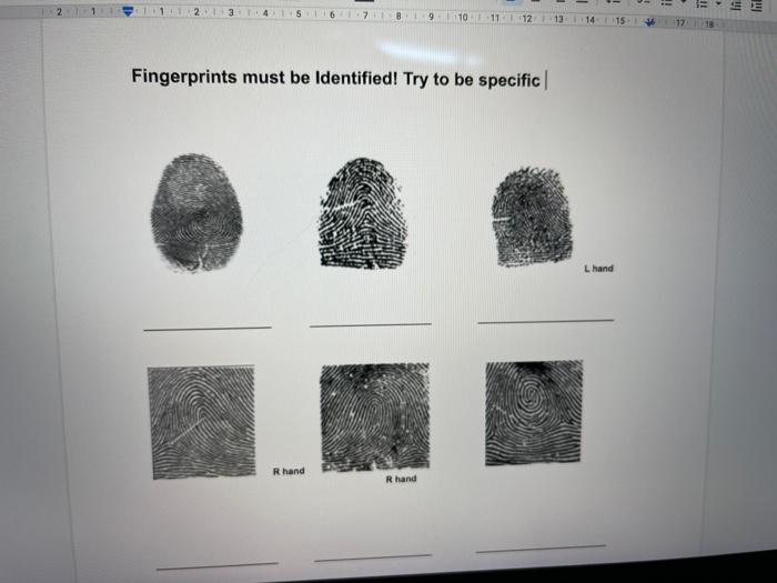 Solved L hand L hand Fingerprints must be Identified! Try | Chegg.com