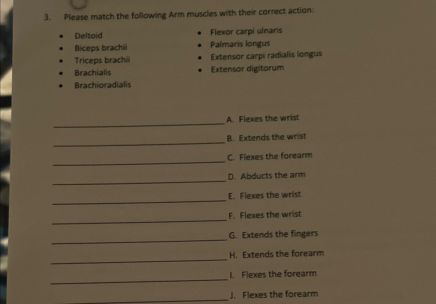 Solved Please match the following Arm muscles with their | Chegg.com