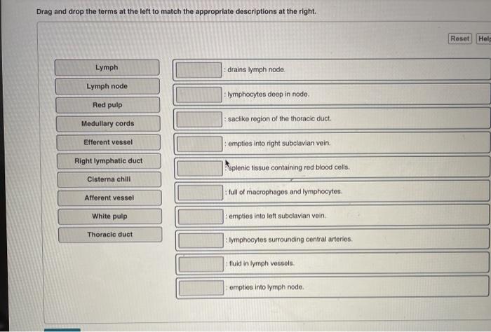 Solved Drag And Drop The Terms At The Left To Match The