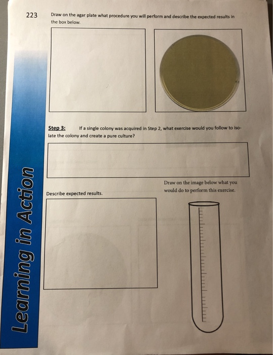Solved 223 Draw on the agar plate what procedure you will | Chegg.com