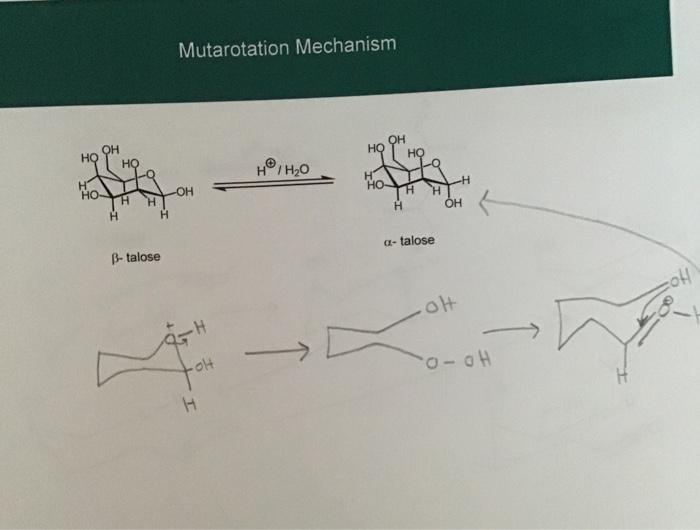 Solved Synthesis of FDG (10 minute discussion) Provide a | Chegg.com