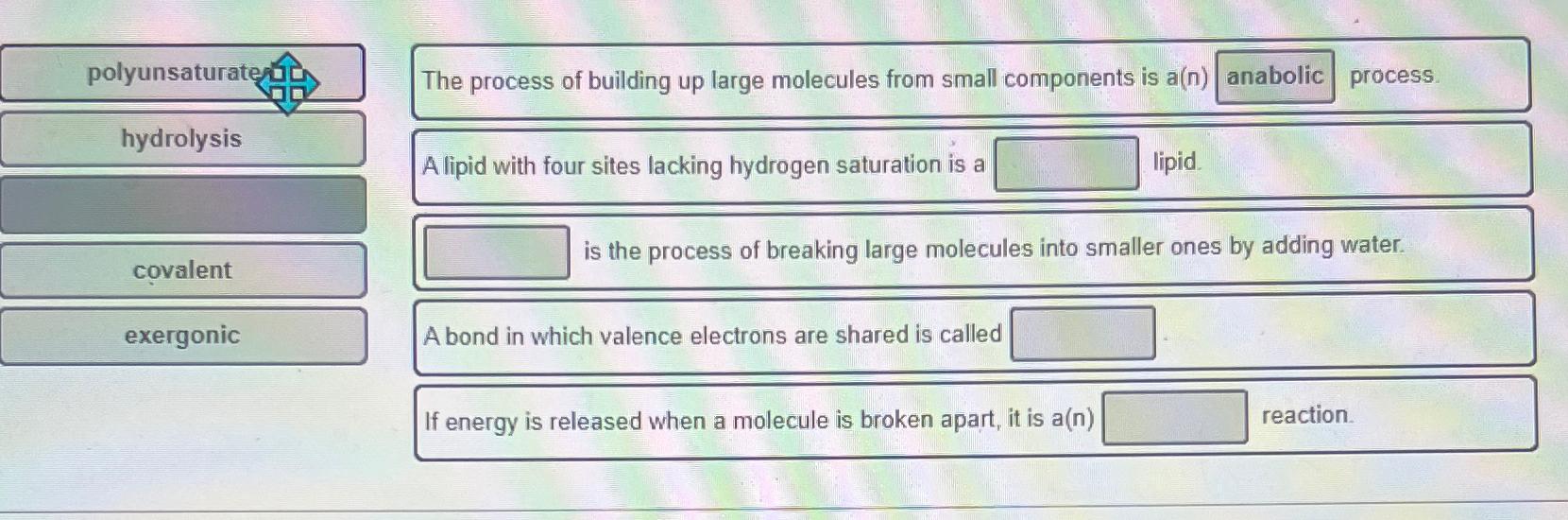 Solved The process of building up large molecules from small | Chegg.com