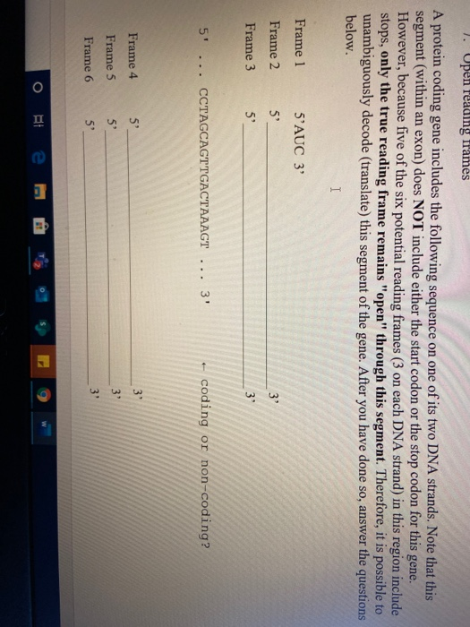 Solved 1. Open reading trames A protein coding gene includes | Chegg.com