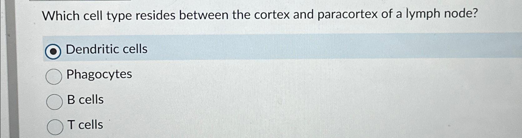 Solved Which cell type resides between the cortex and | Chegg.com