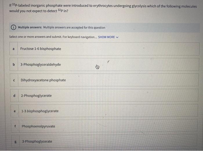Solved If 32p-labeled inorganic phosphate were introduced to | Chegg.com