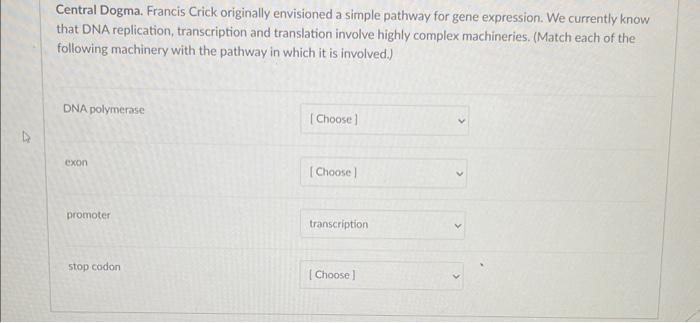 Central Dogma. Francis Crick originally envisioned a | Chegg.com