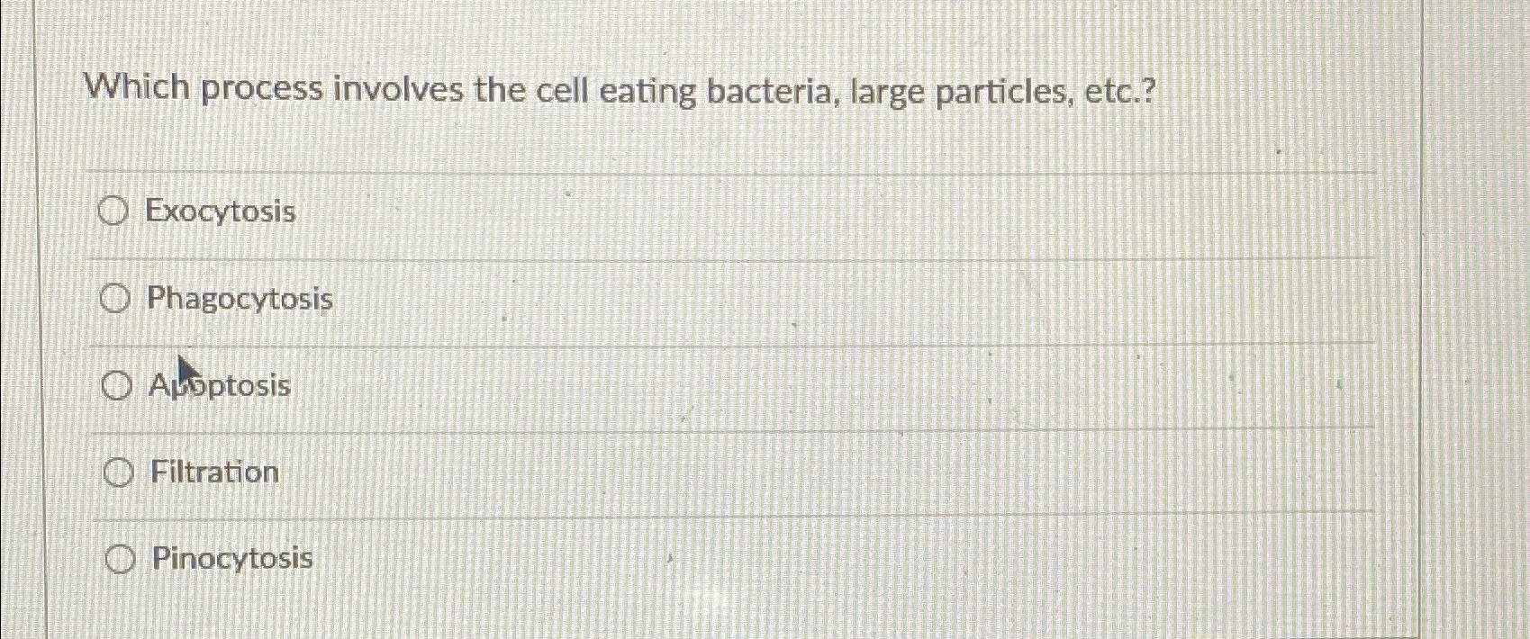 Solved Which process involves the cell eating bacteria, | Chegg.com