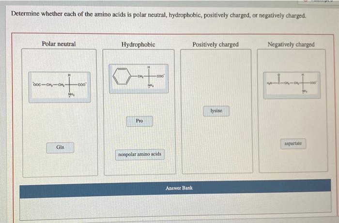 Solved Complete the table by matching each RNA type and | Chegg.com