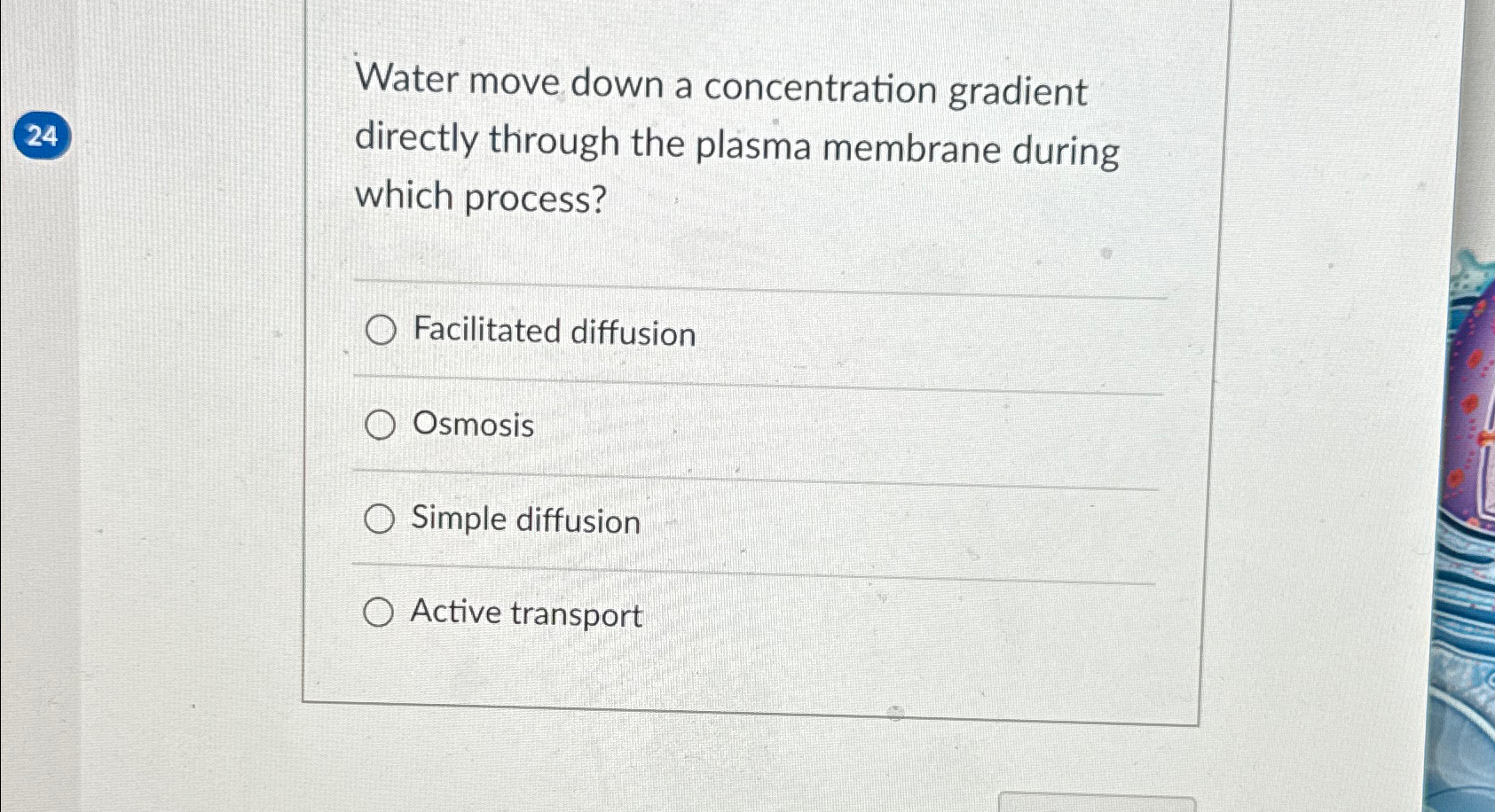 Solved Water move down a concentration gradient directly | Chegg.com