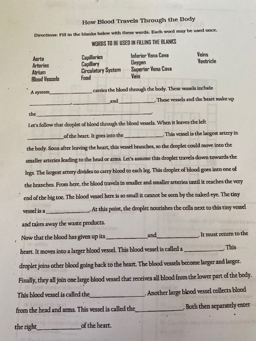 Solved How Blood Travels Through the Body Directions: Fill | Chegg.com