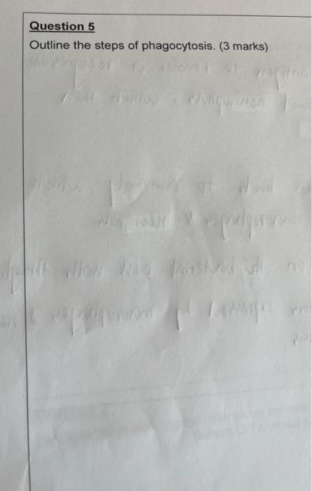 Solved Question 5 Outline the steps of phagocytosis. ( 3 | Chegg.com