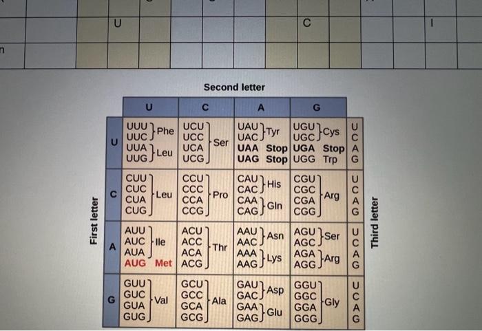 Solved Compiete the table below using the genetie code. | Chegg.com