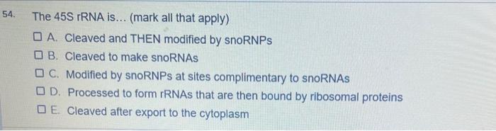 Solved 54. The 45S rRNA is... (mark all that apply) O A. | Chegg.com