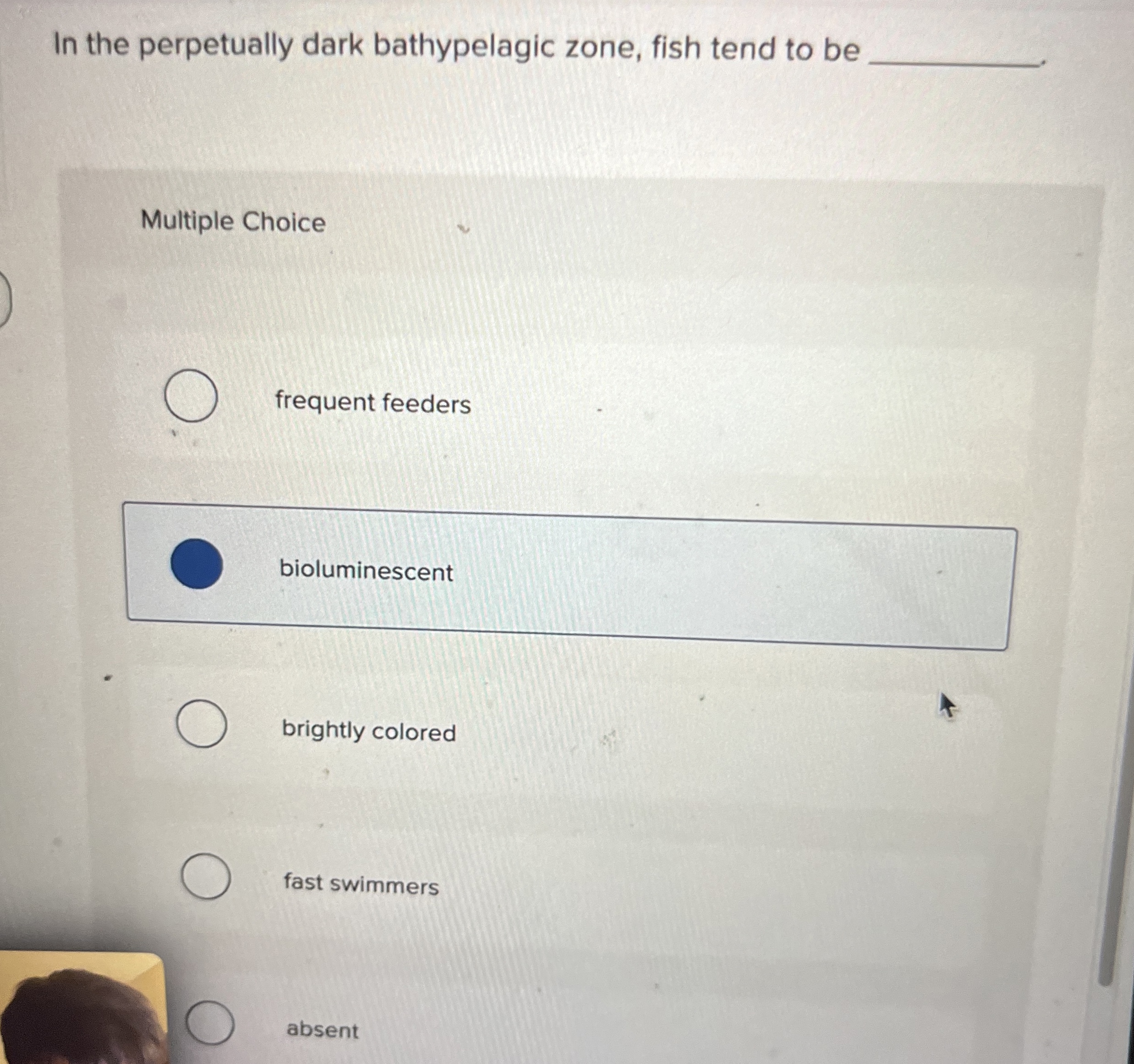 Solved In the perpetually dark bathypelagic zone, fish tend | Chegg.com