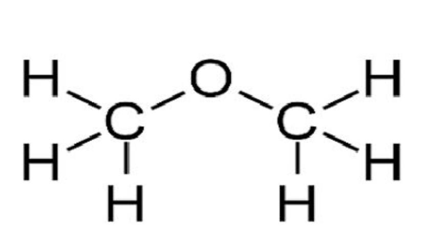 Solved Is This Molecules Functional Group Ether Phosphate 6270