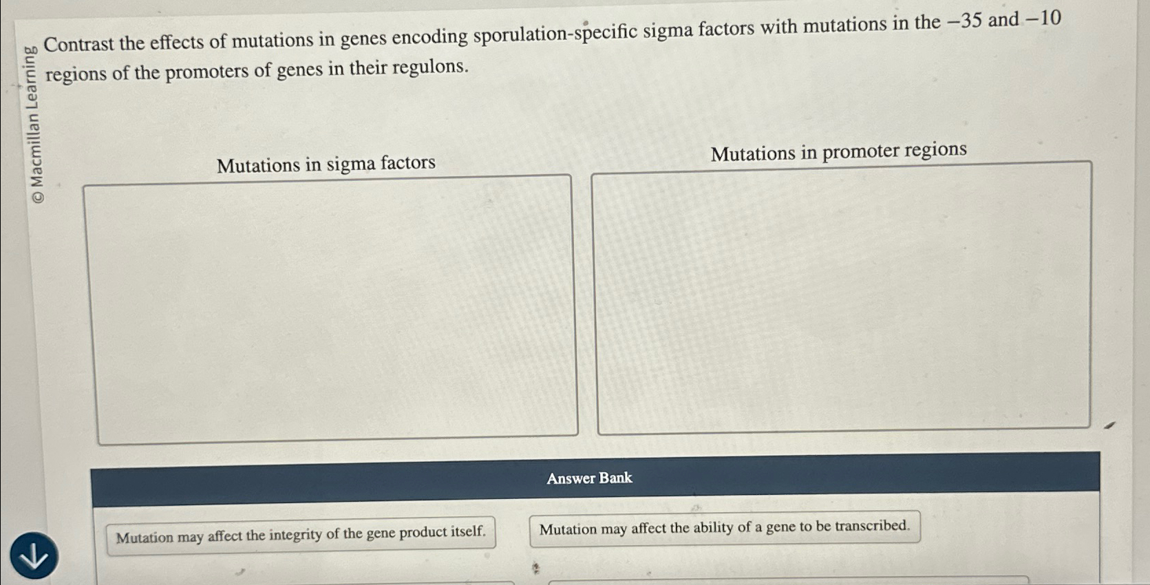 Solved ?0 ﻿Contrast the effects of mutations in genes | Chegg.com