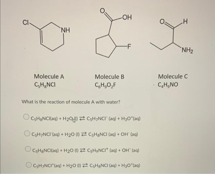 Solved -OH CI H ΝΗ -F NH2 Molecule A CHANCI Molecule B | Chegg.com