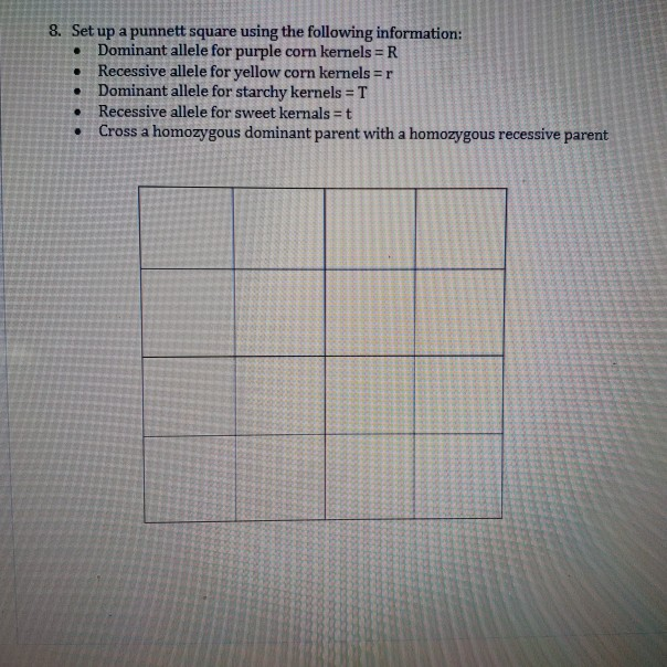Solved 8. Set up a punnett square using the following | Chegg.com