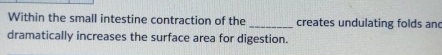Solved Within the small intestine contraction of the q, | Chegg.com