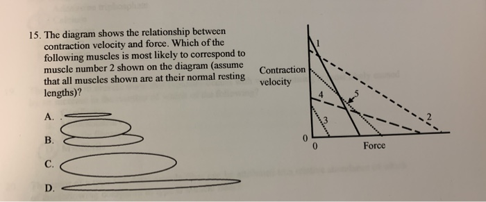 15. The diagram shows the relationship between | Chegg.com