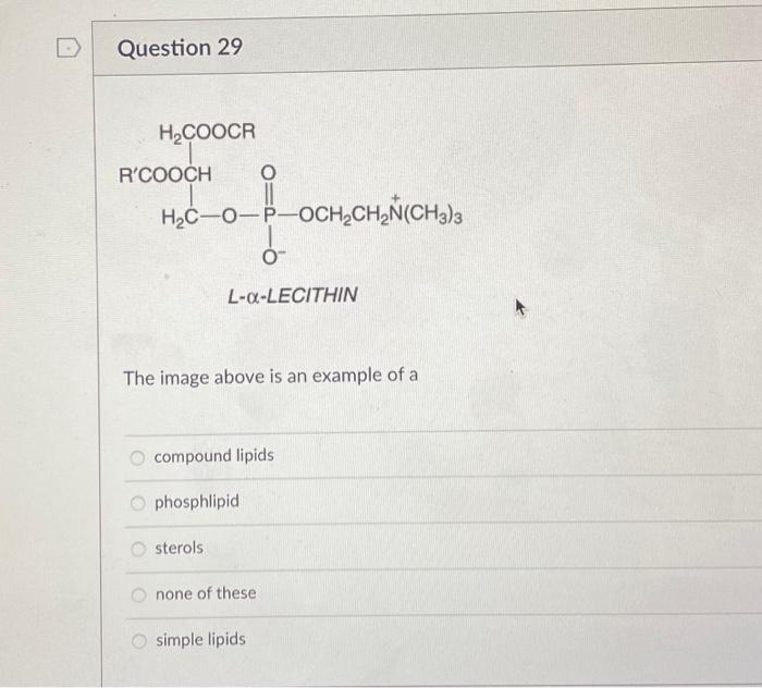 Solved The image above is an example of a compound lipids | Chegg.com