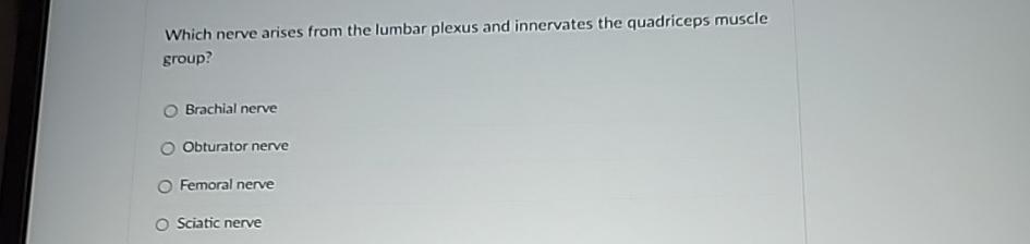 Solved Which nerve arises from the lumbar plexus and | Chegg.com