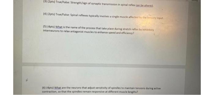 (3) (2pts) True/False: Strength/sign of synaptic | Chegg.com