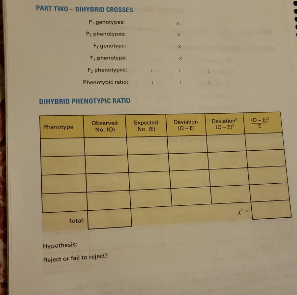 Solved PART TWO-DIHYBRID CROSSES P, genotypes: P phenotypes: | Chegg.com