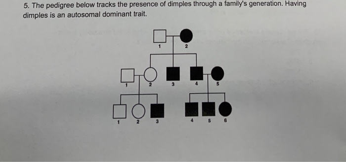 Solved 5. The pedigree below tracks the presence of dimples | Chegg.com