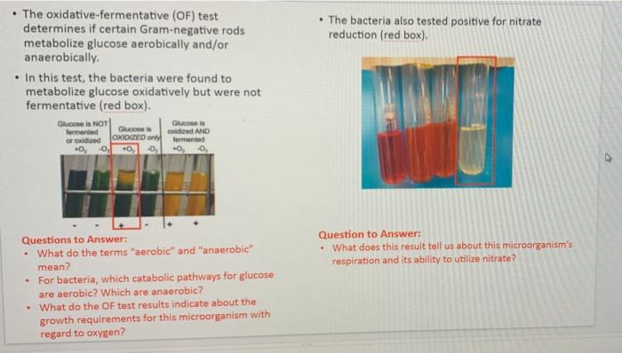 Solved The oxidative-fermentative (OF) test determines if | Chegg.com