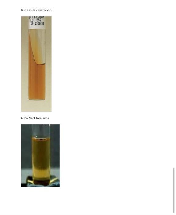 Solved The following are the results after incubation of | Chegg.com