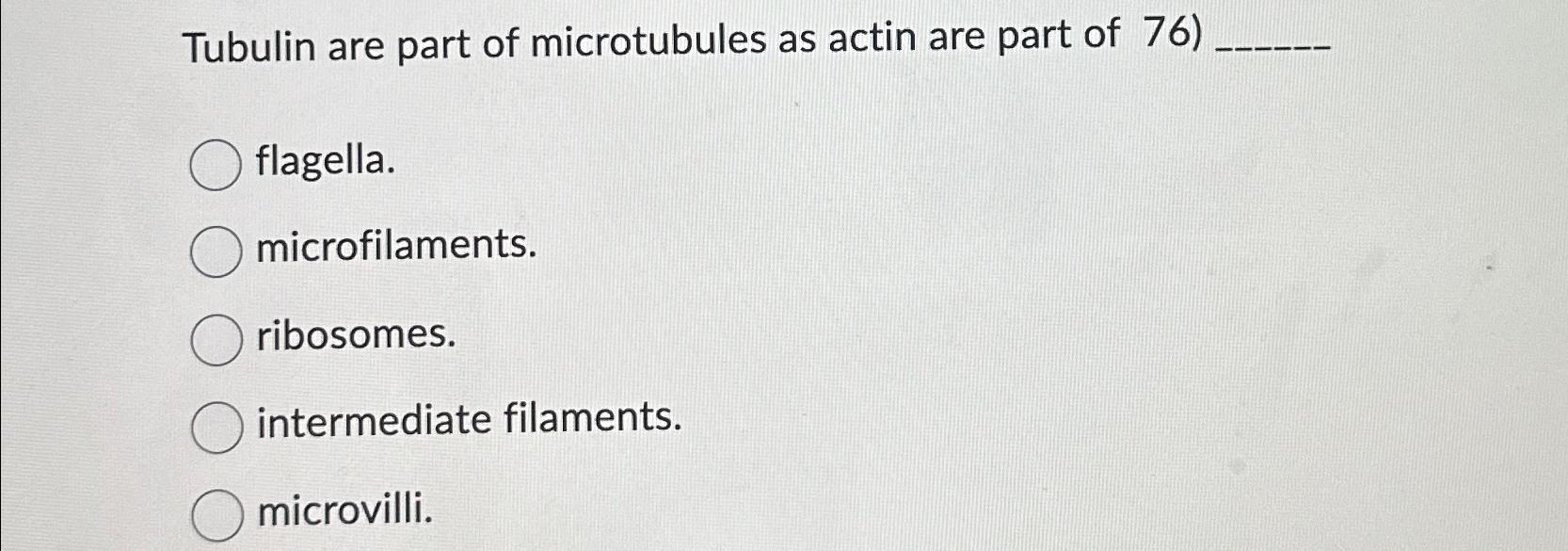 Solved Tubulin are part of microtubules as actin are part of | Chegg.com